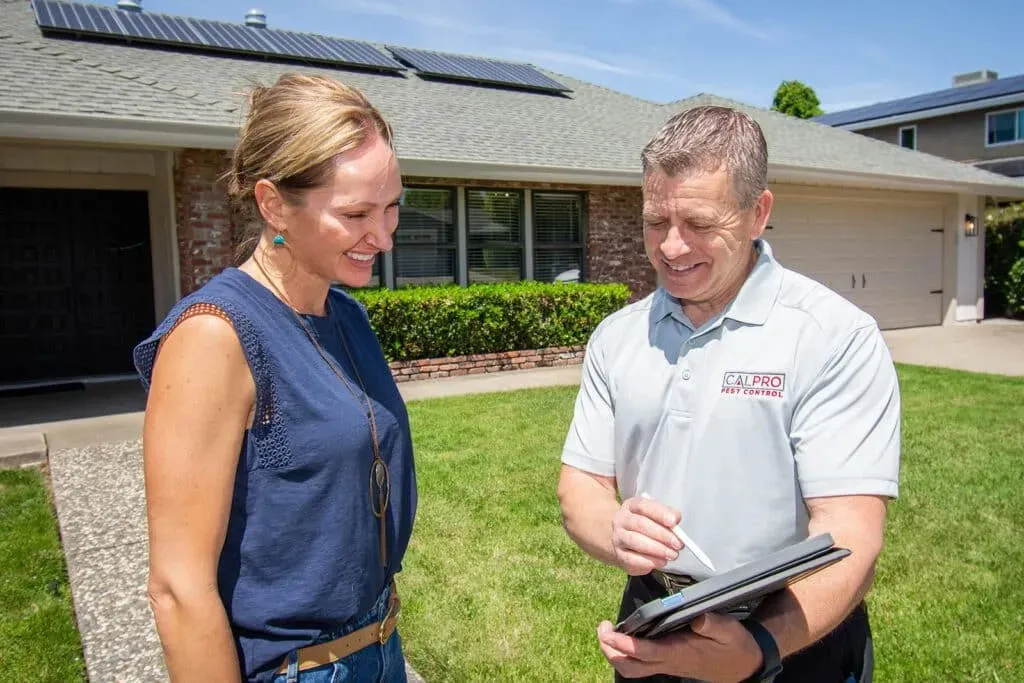 Termite Inspection Service Sacramento CA - CalPro Pest Control