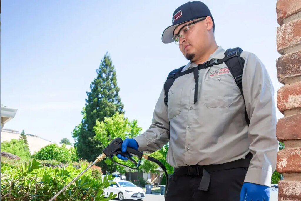 Commercial Pest Control Services Sacramento CA - CalPro Pest Control