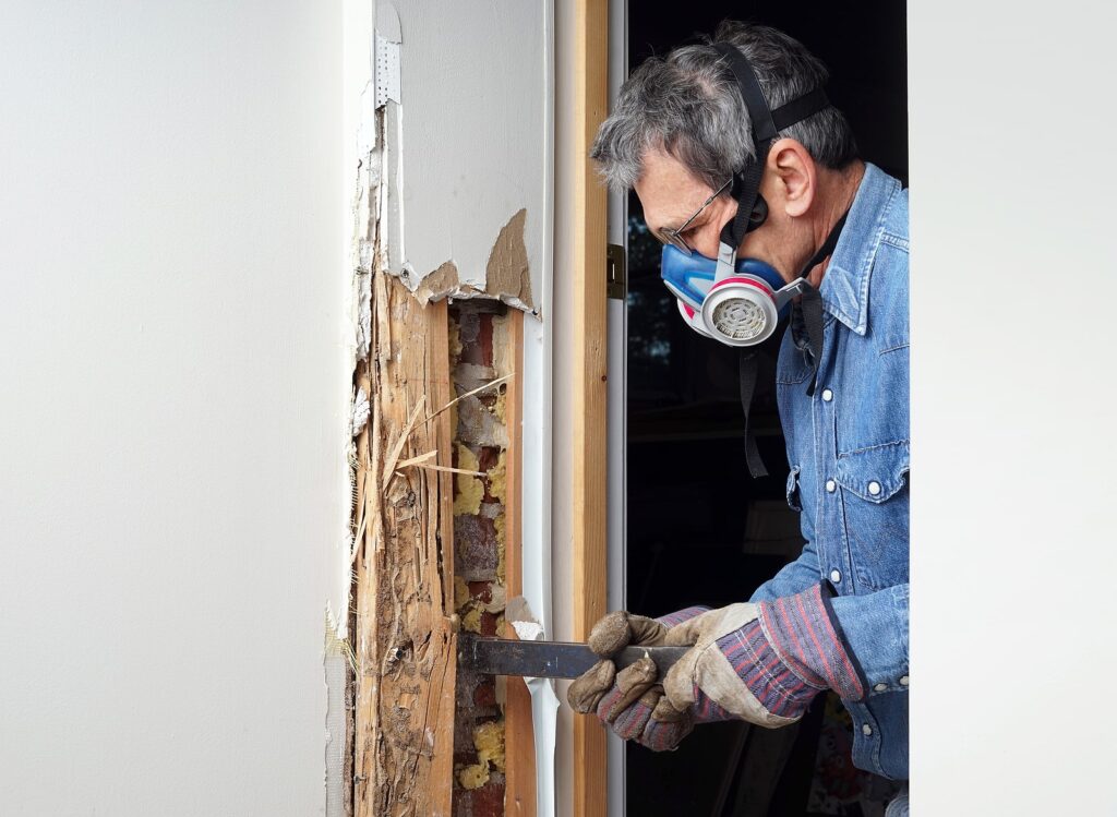 Termite Damage Repair Sacramento CA - CalPro Pest Control